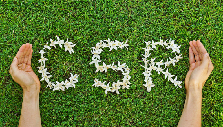 Perspective: Examining the Case for CSR in Kind | Private Client